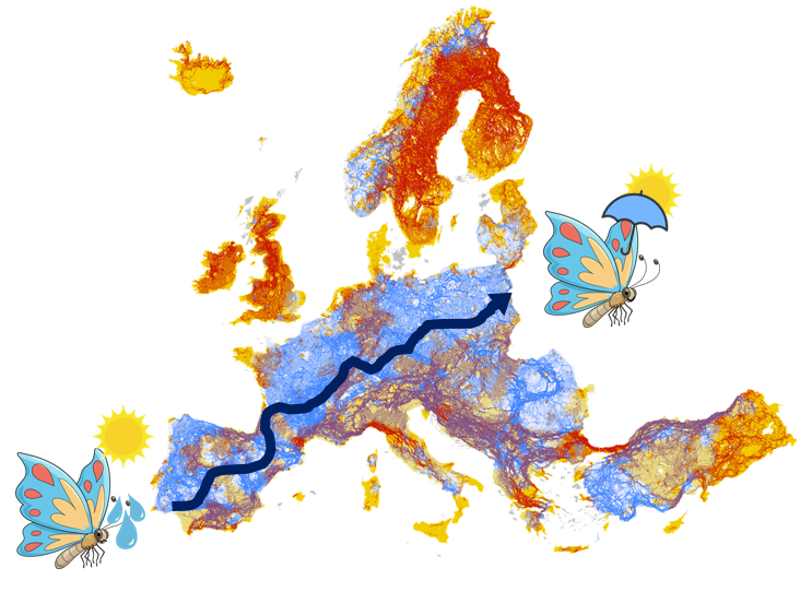 Finding landscapes that allow species to move as a response to climate ...