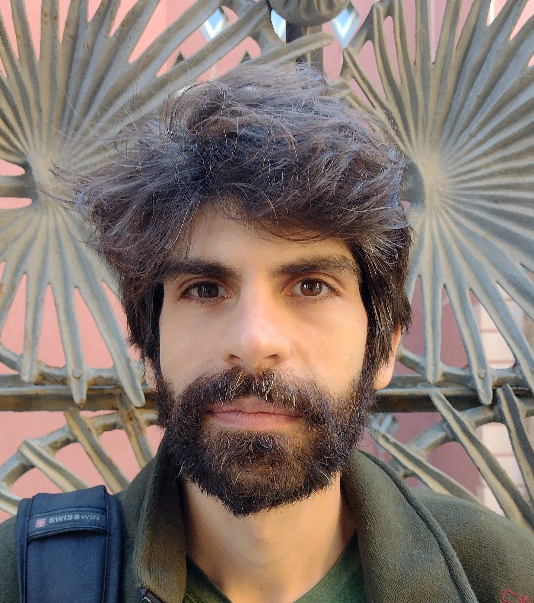 Deep phenotyping in ecotoxicology: from the insect apocalypse to the ...